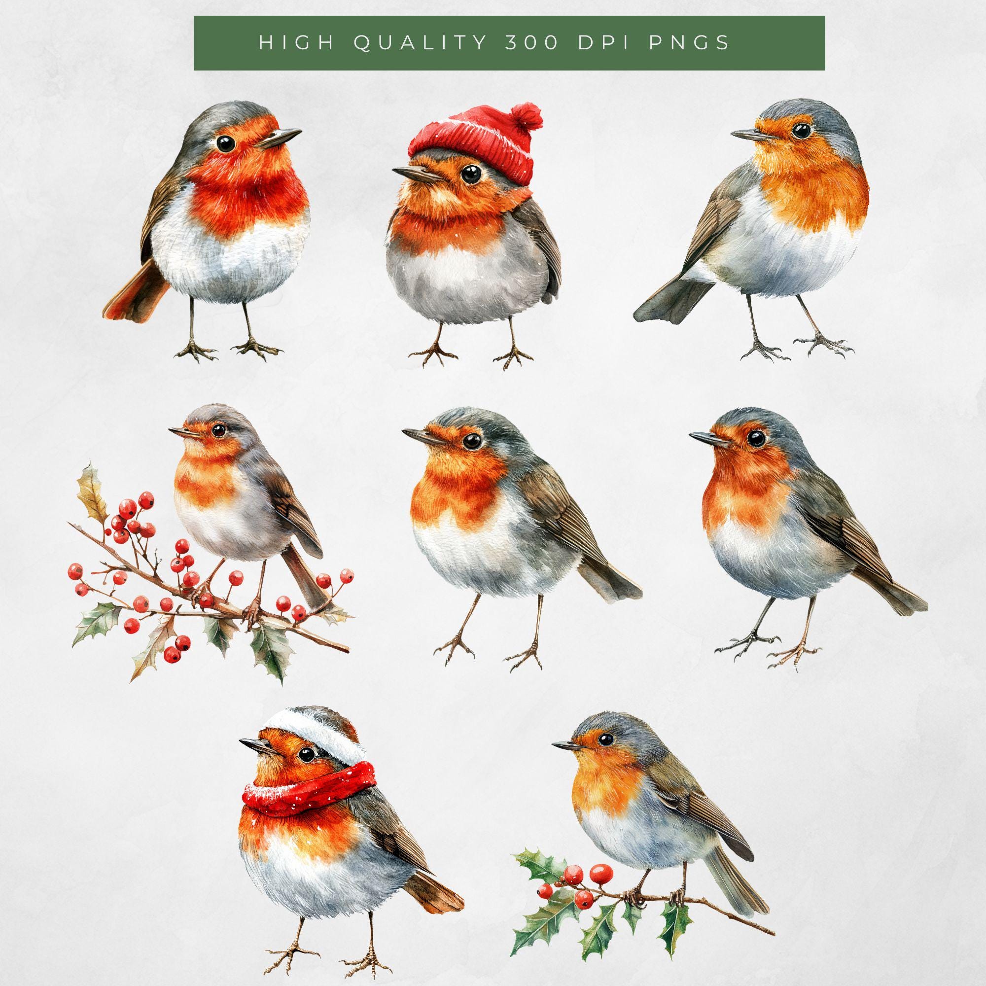 Christmas Robins Clipart, Festive Robin Bird Illustrations, Holiday ...