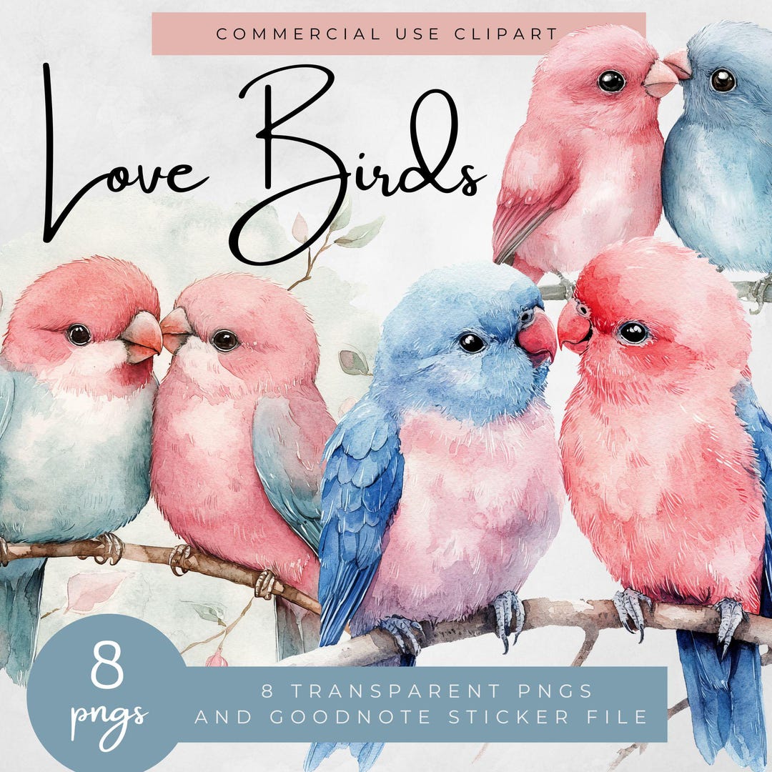 Love Birds Valentine's Day Clipart, Cute Watercolor Pink & Blue Love ...