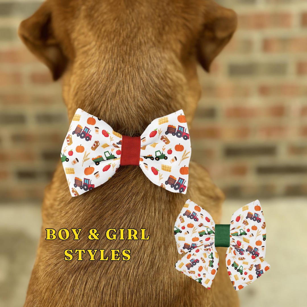 Harvest Hayride Dog/cat Bow Tie • Farm Tractor Pumpkin Pattern • Boy ...