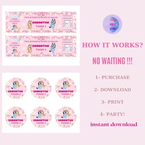 Bluey Pringles Label Girl Bluey and Bingo Party Favors Blue Dog ...