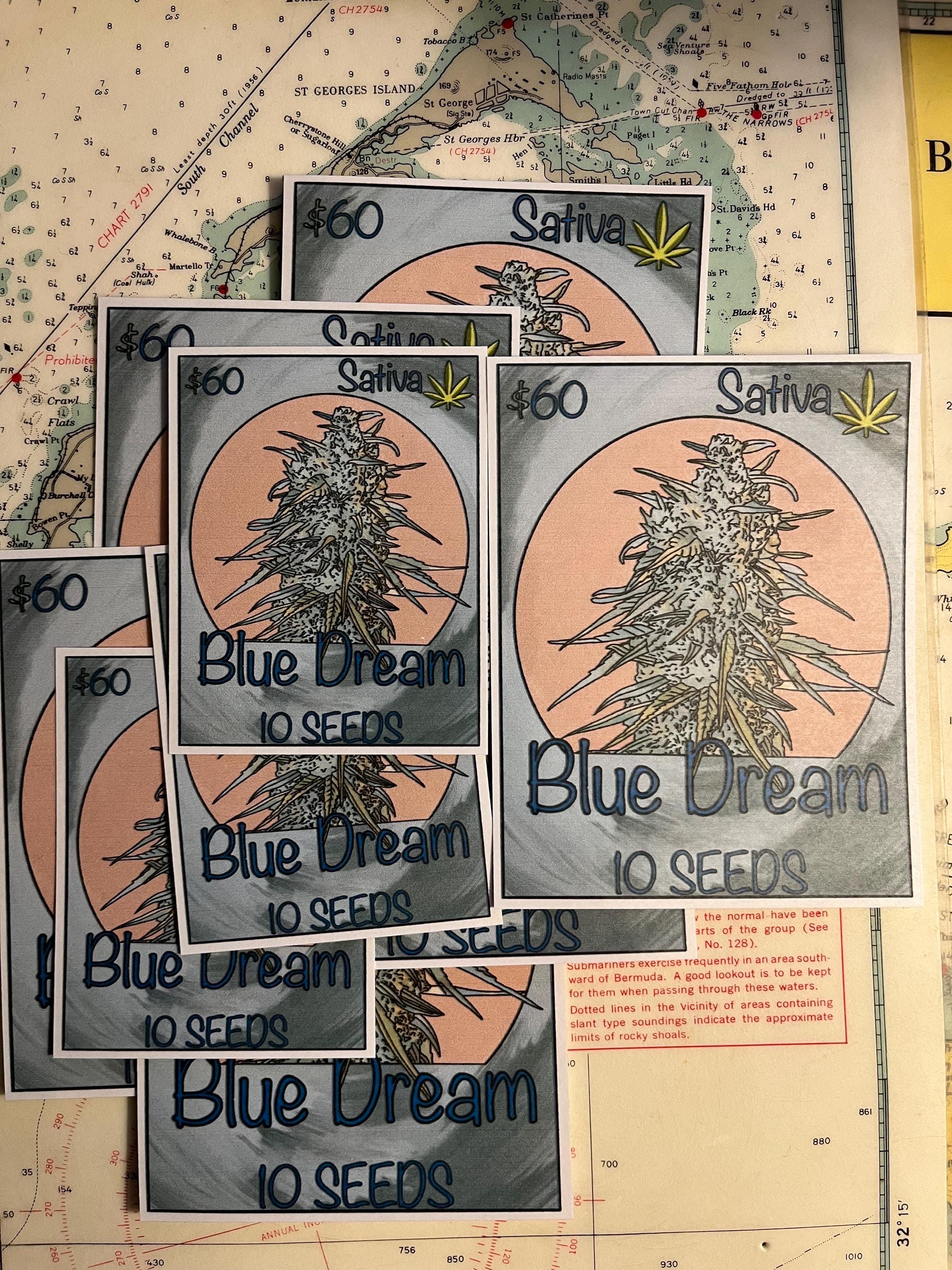 Blue Dream Weed Seed Pack Sticker *pls Read Description Before You ...