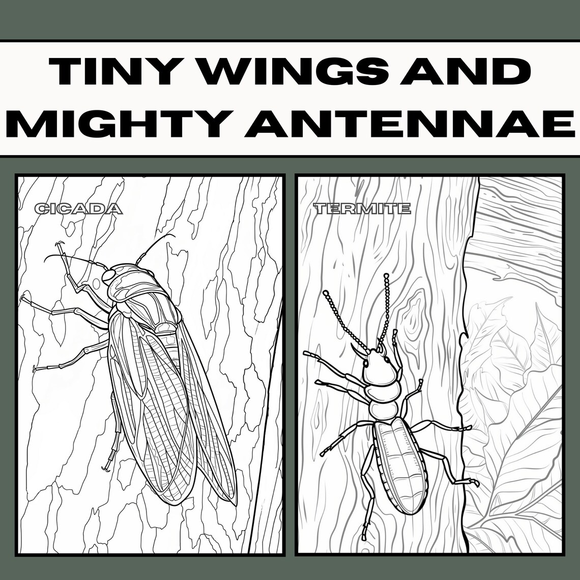 Insects Coloring Pages, Tiny Wings and Mighty Antennae: an ...