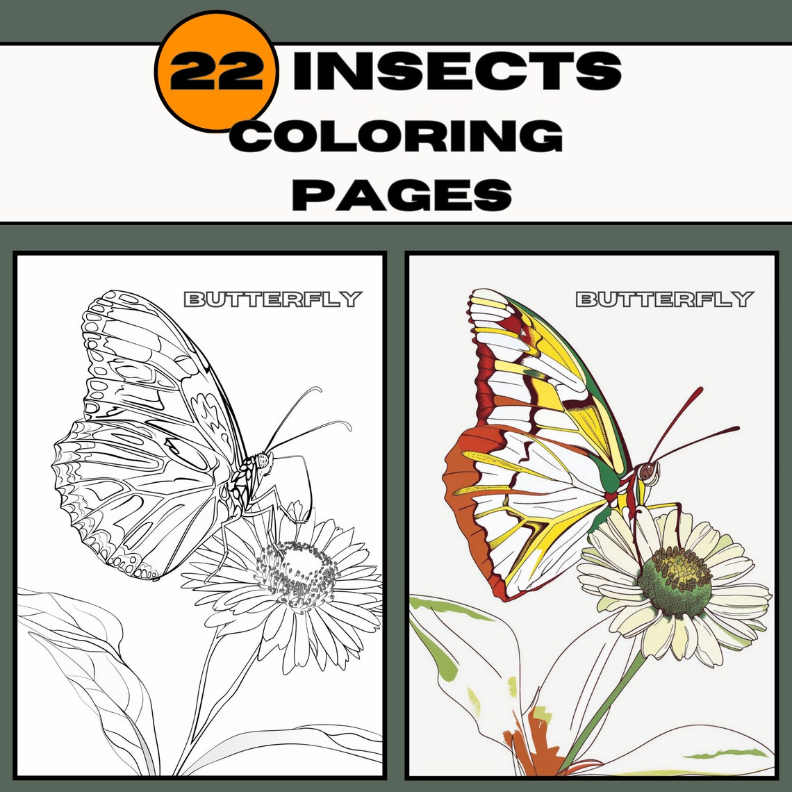 Insects Coloring Pages, Tiny Wings and Mighty Antennae: an ...
