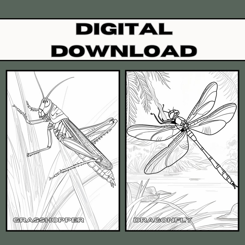 Insects Coloring Pages, Tiny Wings and Mighty Antennae: an ...
