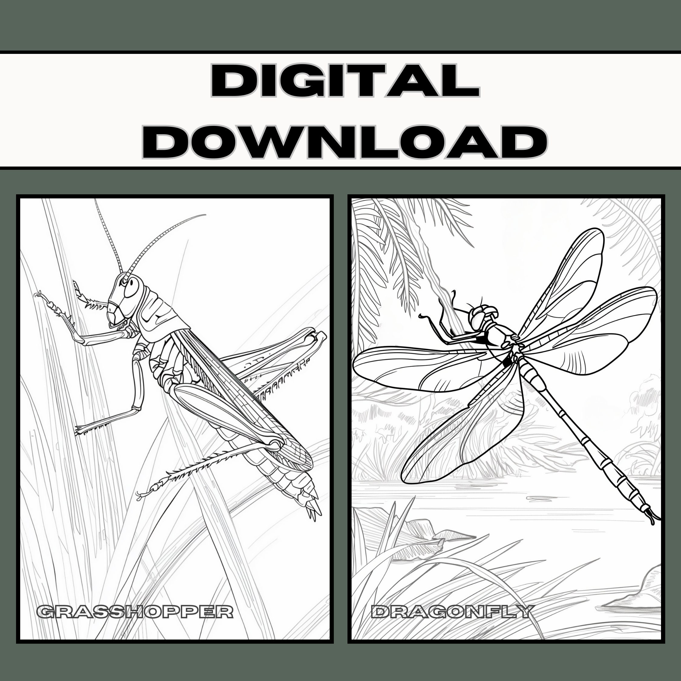 Insects Coloring Pages, Tiny Wings and Mighty Antennae: an ...