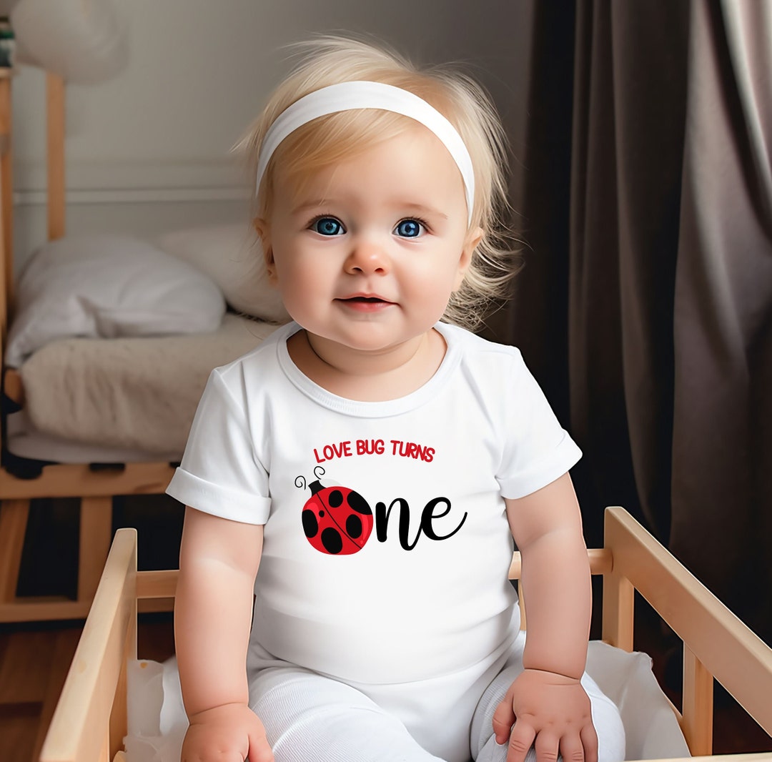 Ladybug One Birthday Onesie, Ladybug Onesie, Ladybug Birthday, First ...
