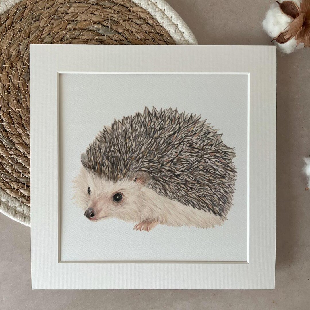Print Hedgehog With Passe Partout 25x25 Cm Fine Art Print Mounted Print ...