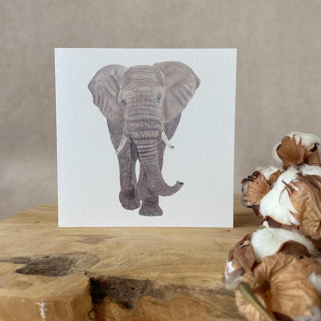 Elephants Greeting Card Elephant Drawing Gift Wild Animals in the Wild ...