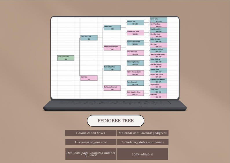 Family History Spreadsheet Templates GOOGLE SHEETS - Etsy