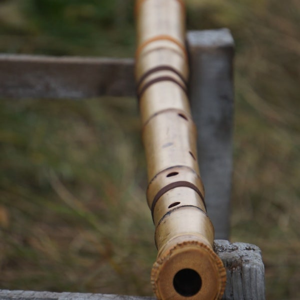 Shakuhachi Flute - Etsy