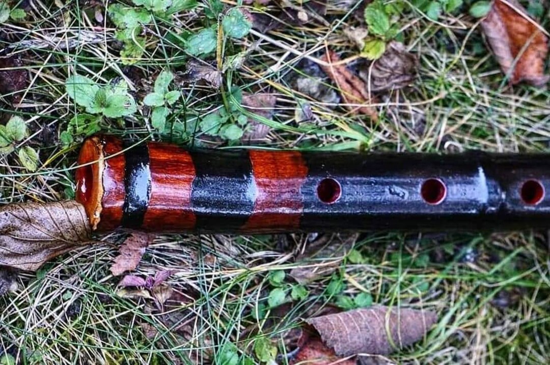 Japanese Shakuhachi Flute, 1.7 Shaku, Key D More Than 10 Year Bamboo - Etsy