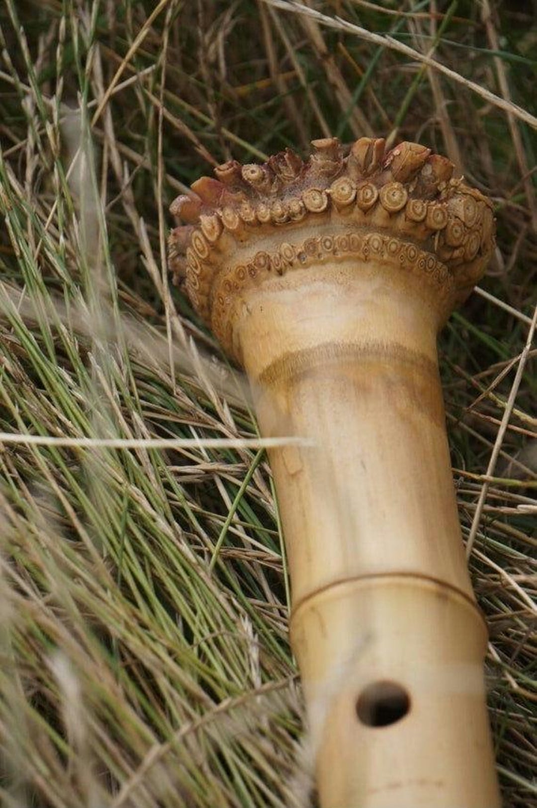 Shakuhachi Jinashi 1.9 Shaku, 59cm, Myoan School Utaguchi Key С# - Etsy