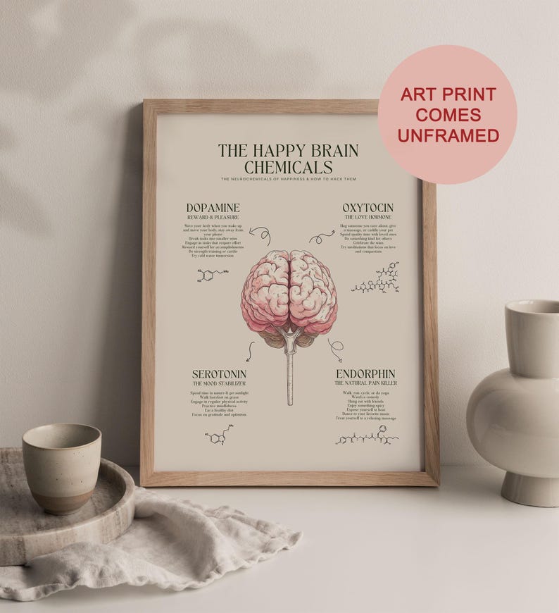 Happy Brain Chemicals Poster: Dopamine, Serotonin, Oxytocin, Endorphins ...