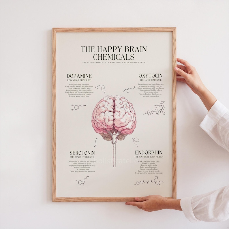 The Happy Brain Chemicals Poster, Neurochemicals of Happiness, Dopamine ...