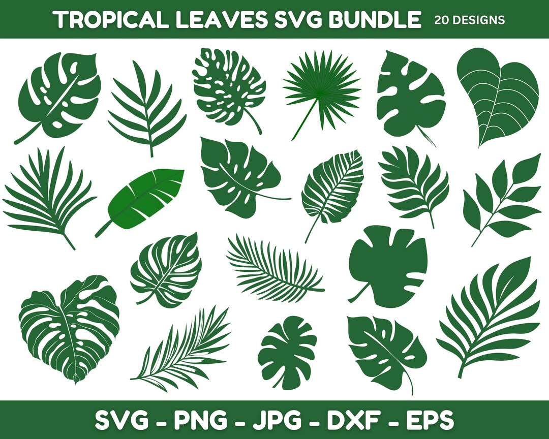 20+ Tropical Svg Bundle, Monstera Svg, Jungle Leaves Svg, Palm Branch ...