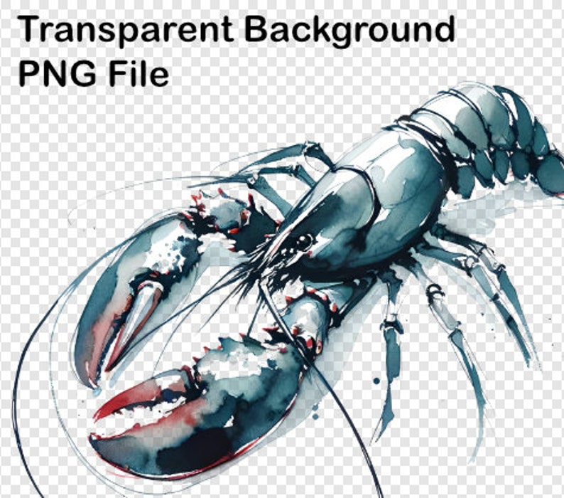 Seafood Collection 2 (A3) Pictures - Lobster - Transparent PNG Download ...