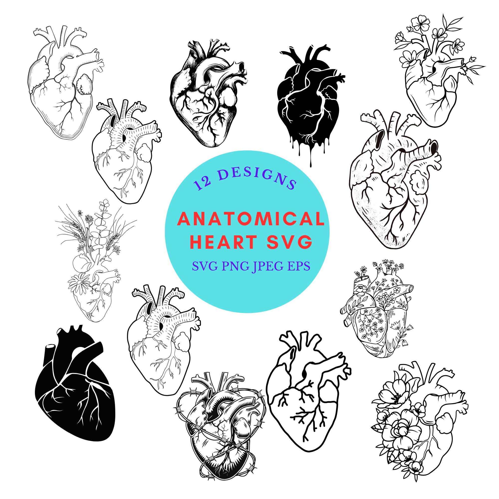 New Svg, Anatomy Svg, Anatomical Heart Svg Bundle, Flower Heart Svg ...