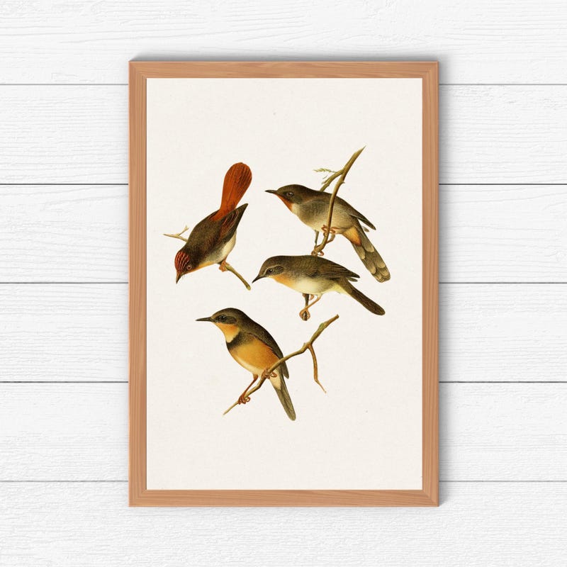 PixelsNPaintStudio - Etsy