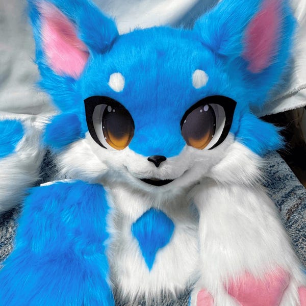 Bluey Mascot Costume - Etsy