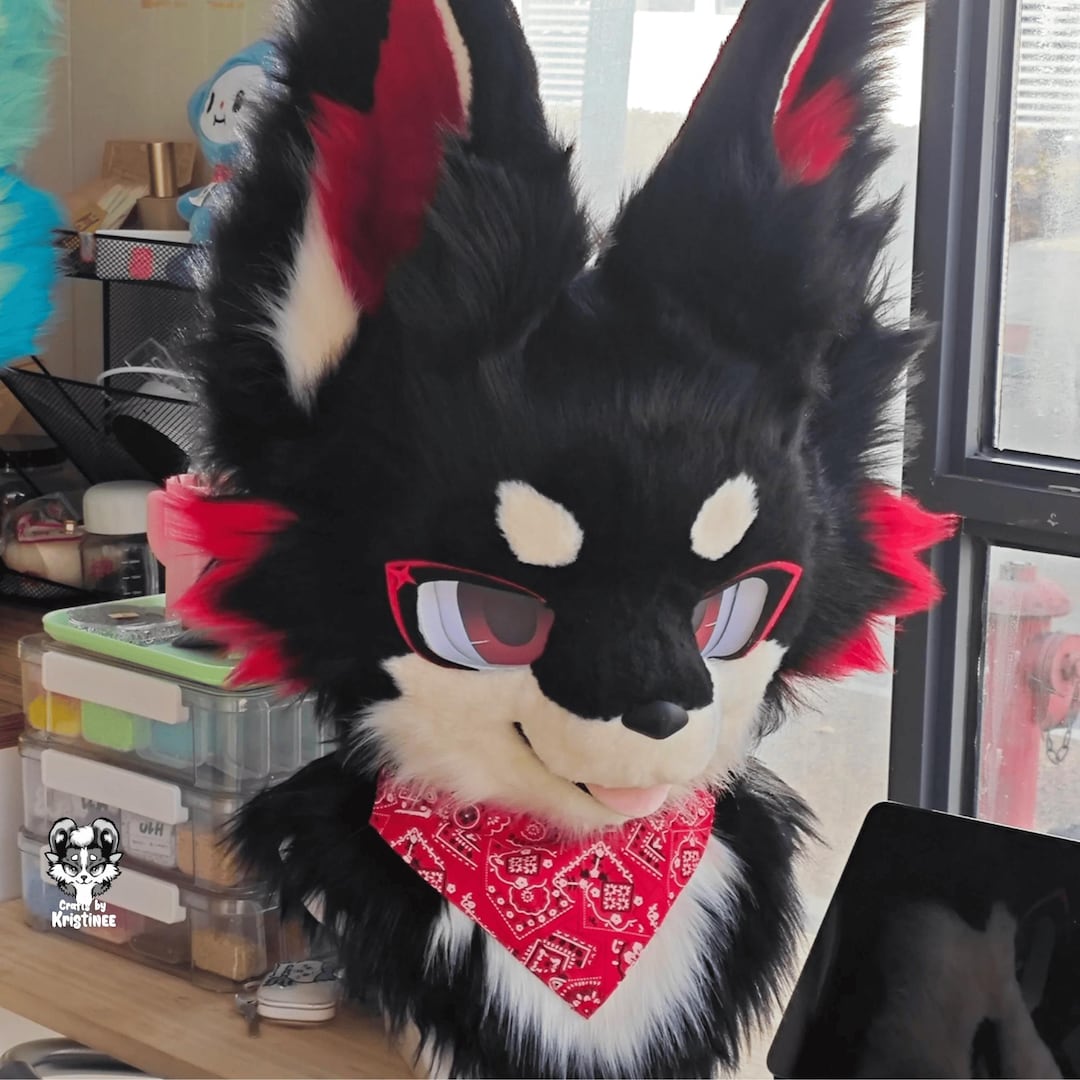 Mr. Husky in the Coffee Shop Fursuit Head, Custom Kenomo Cosplay ...
