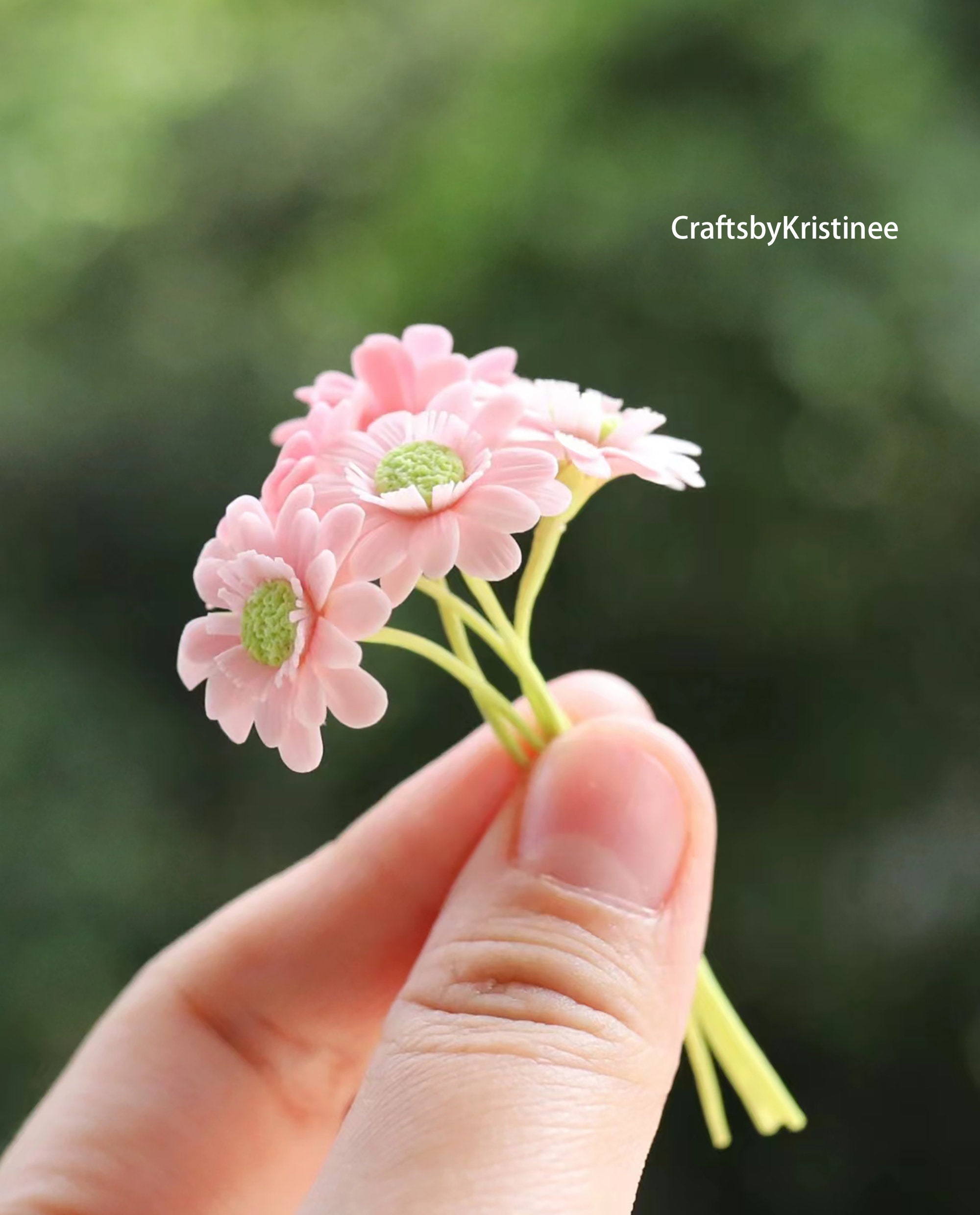 Miniature Daisy,miniature Chrysanthemum,1:12,miniature Plant,miniature ...