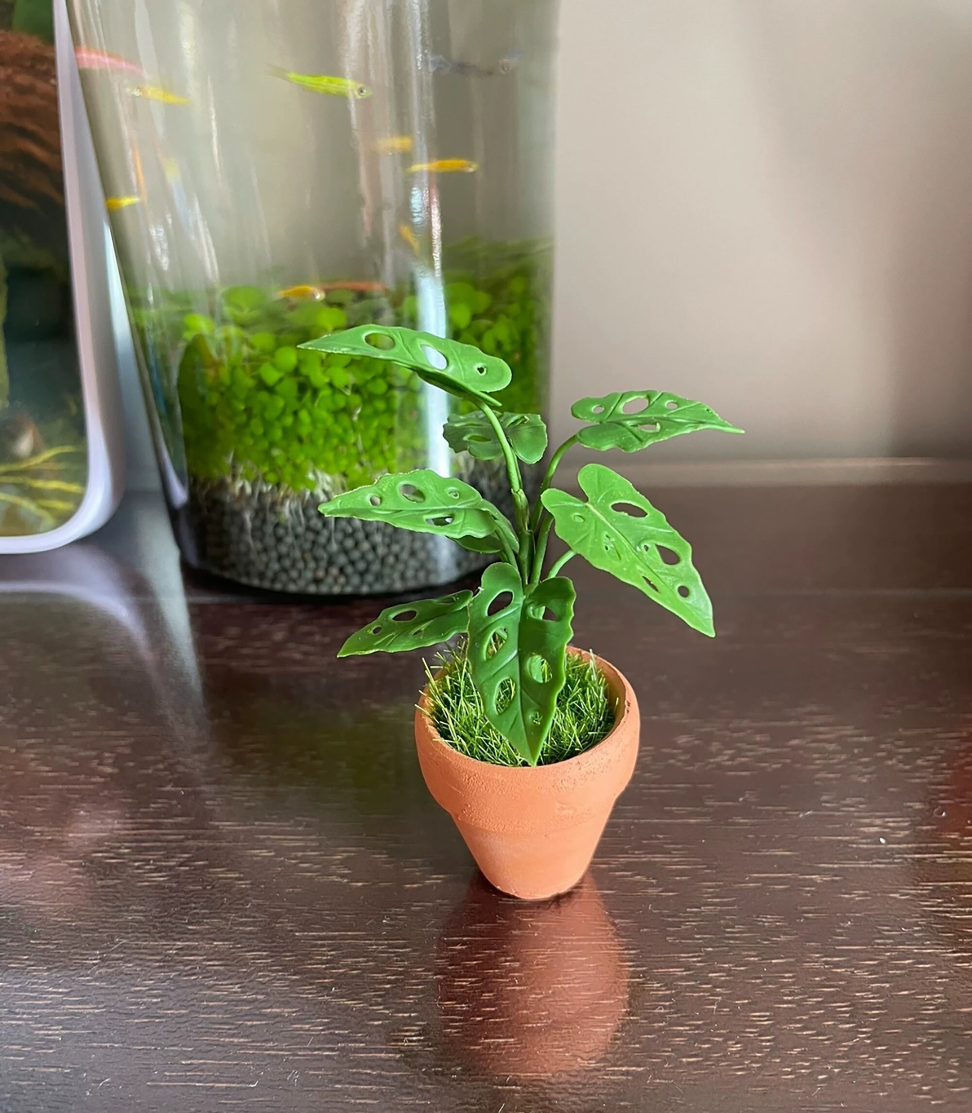 Miniature Monstera Deliciosa, Purely Handmade Clay, Miniature ...