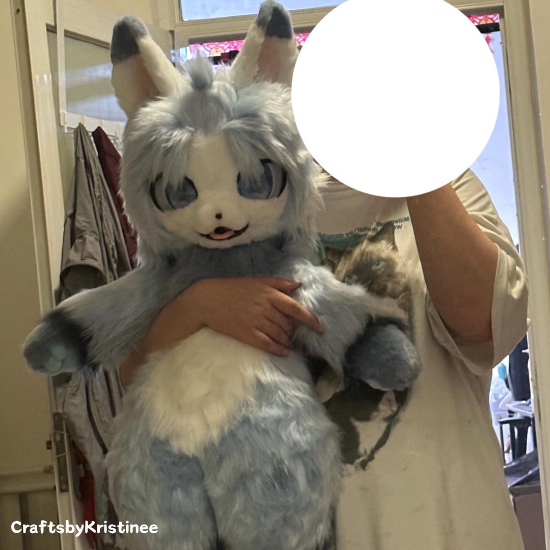 MINI Fursuit Dolls, Customized Real Beast Fur Clothing Dolls, Fursuit ...