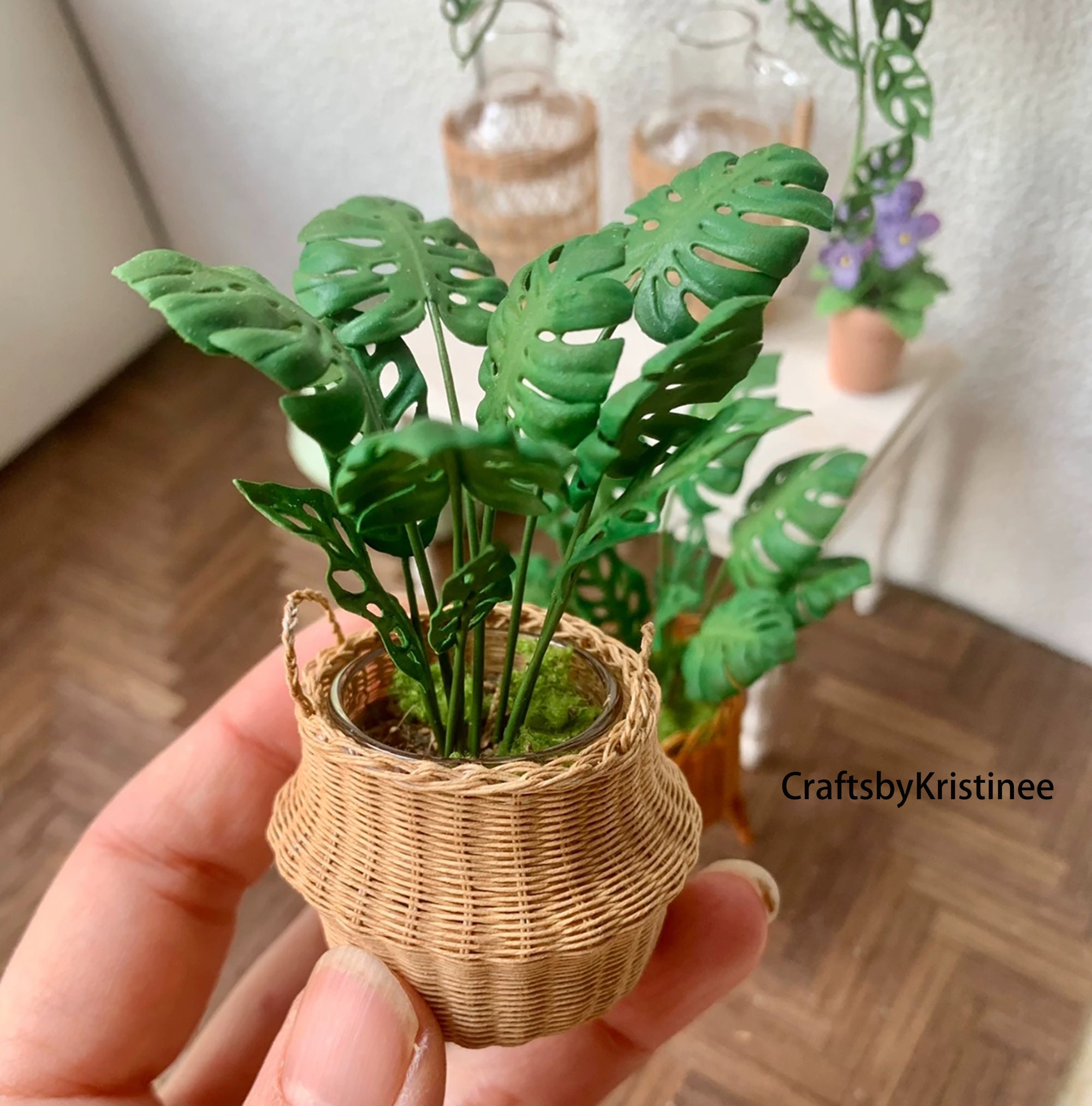 Miniature Monstera,miniature Plants,handwoven Baskets,flower Baskets ...