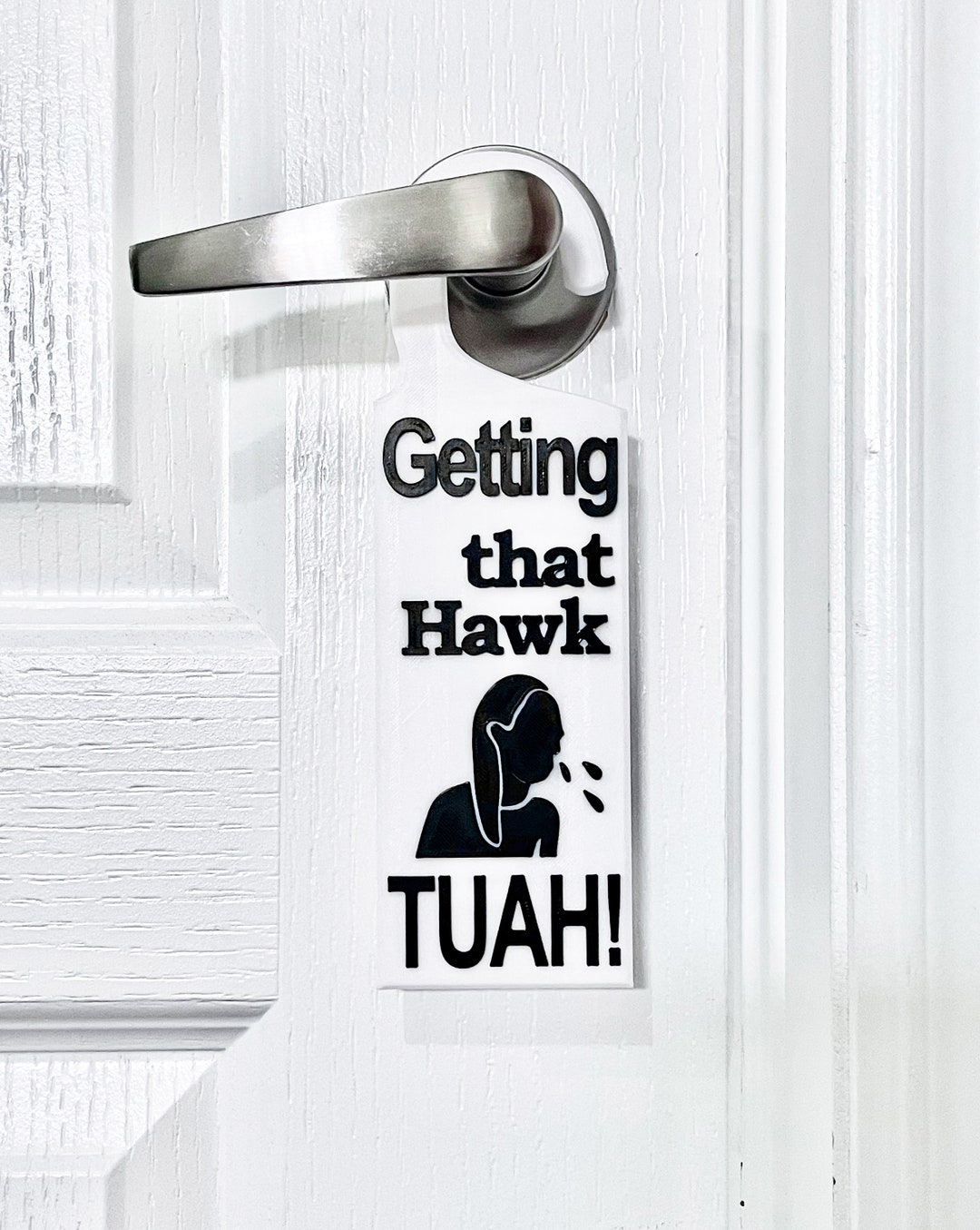 Hawk Tuah Do Not Disturb Door Sign, Hawk Tuah Girl, Trending, 3D ...