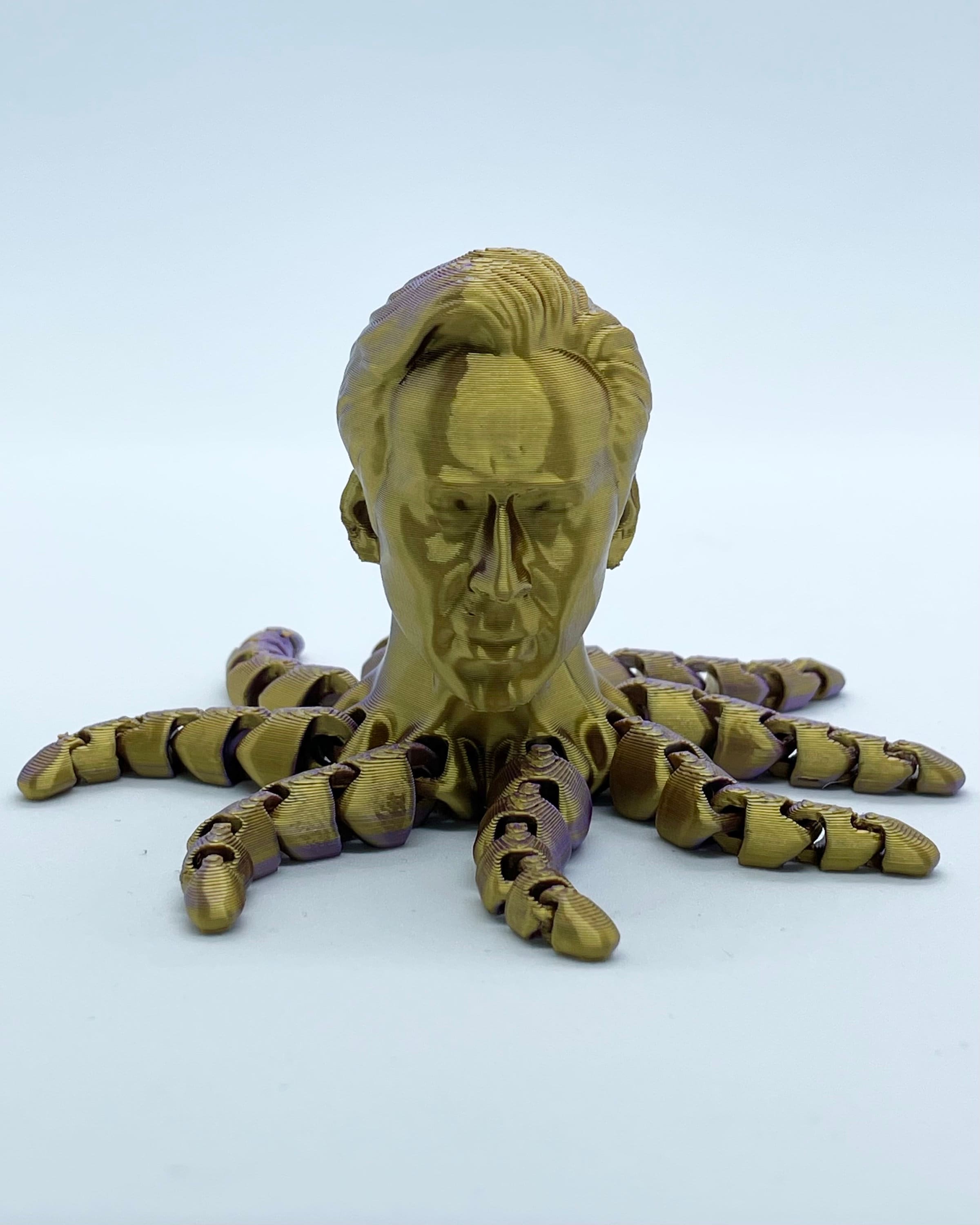 Nictopus Fidget Toy Gift, Articulated Nicolas Cage Octopus, 3D Printed ...
