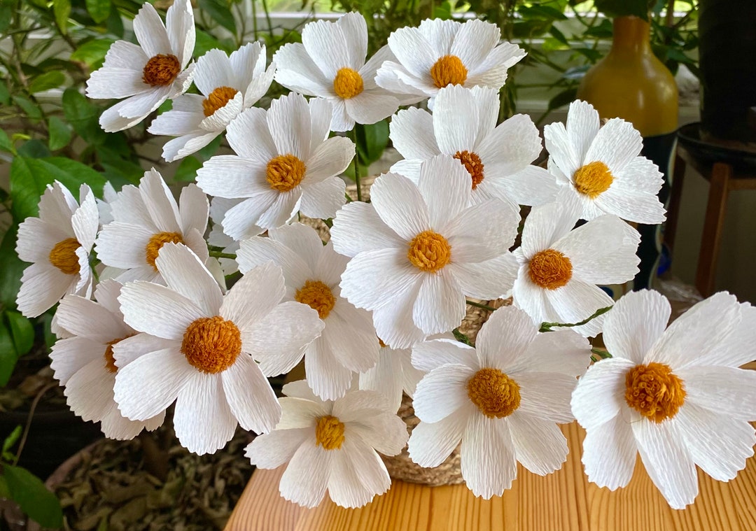 White Cosmos Paper Flowers - Handmade Eco Friendly - Etsy