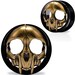 Black Stainless Steel Ear Tunnels Gold Vampire Skull With Fangs Ear ...