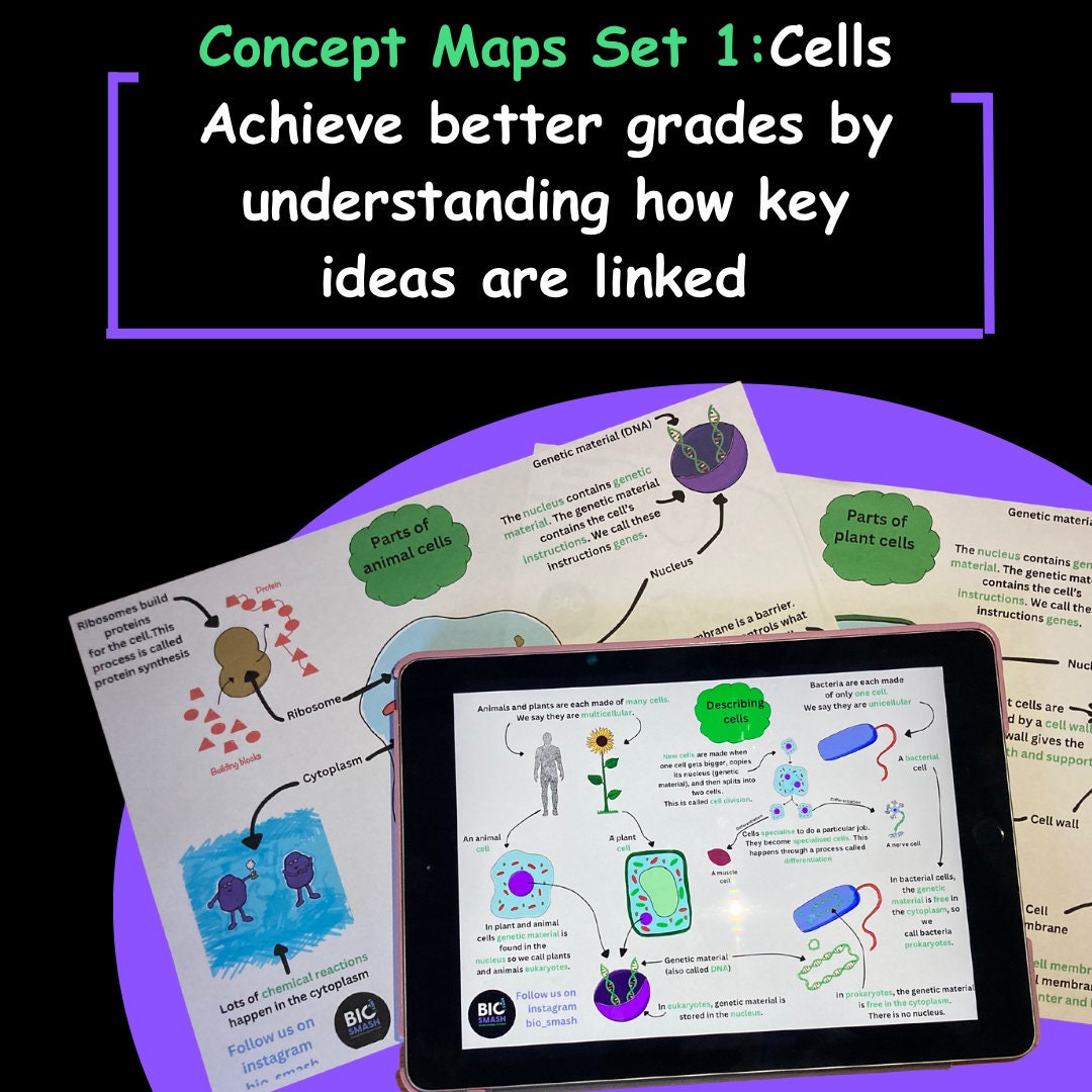 Cells Revision Concept Maps Gcse Level Helping You To Boost Your
