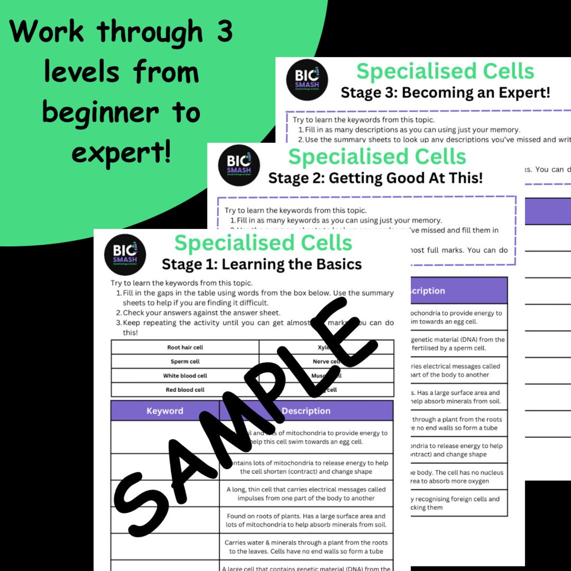Science Biology Revision: Cells (GCSE Level). Keyword Revision Pack ...