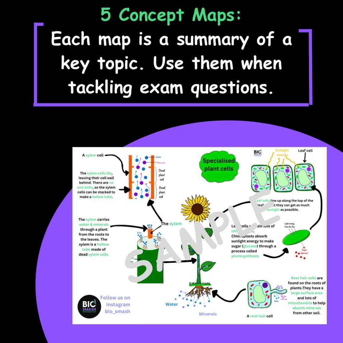 Cells Revision Concept Maps (GCSE Level): Helping You to Boost Your ...