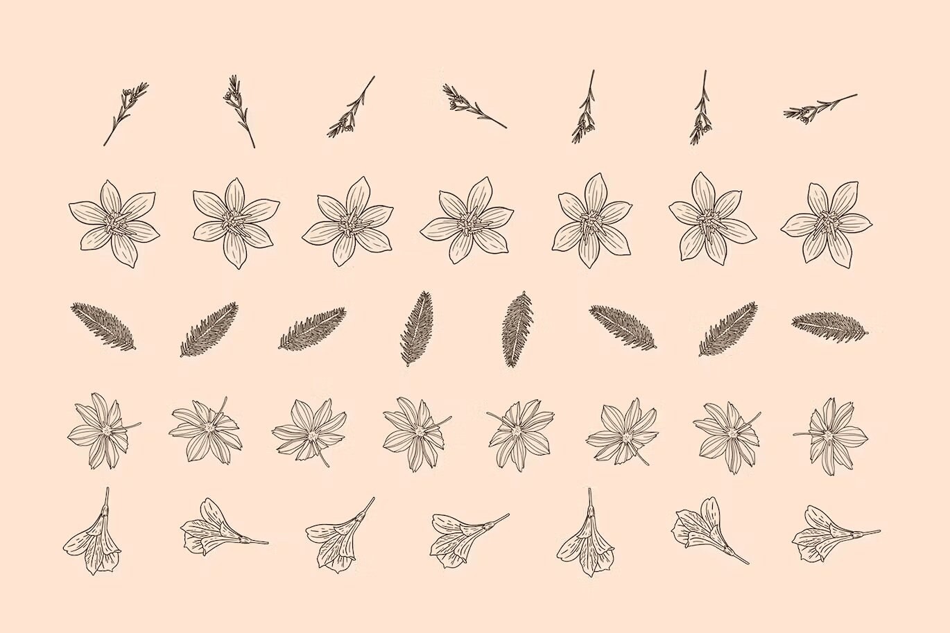 Procreate Flow Draw Brushes, Procreate Hand Drawn Floral Stamp Brushes ...