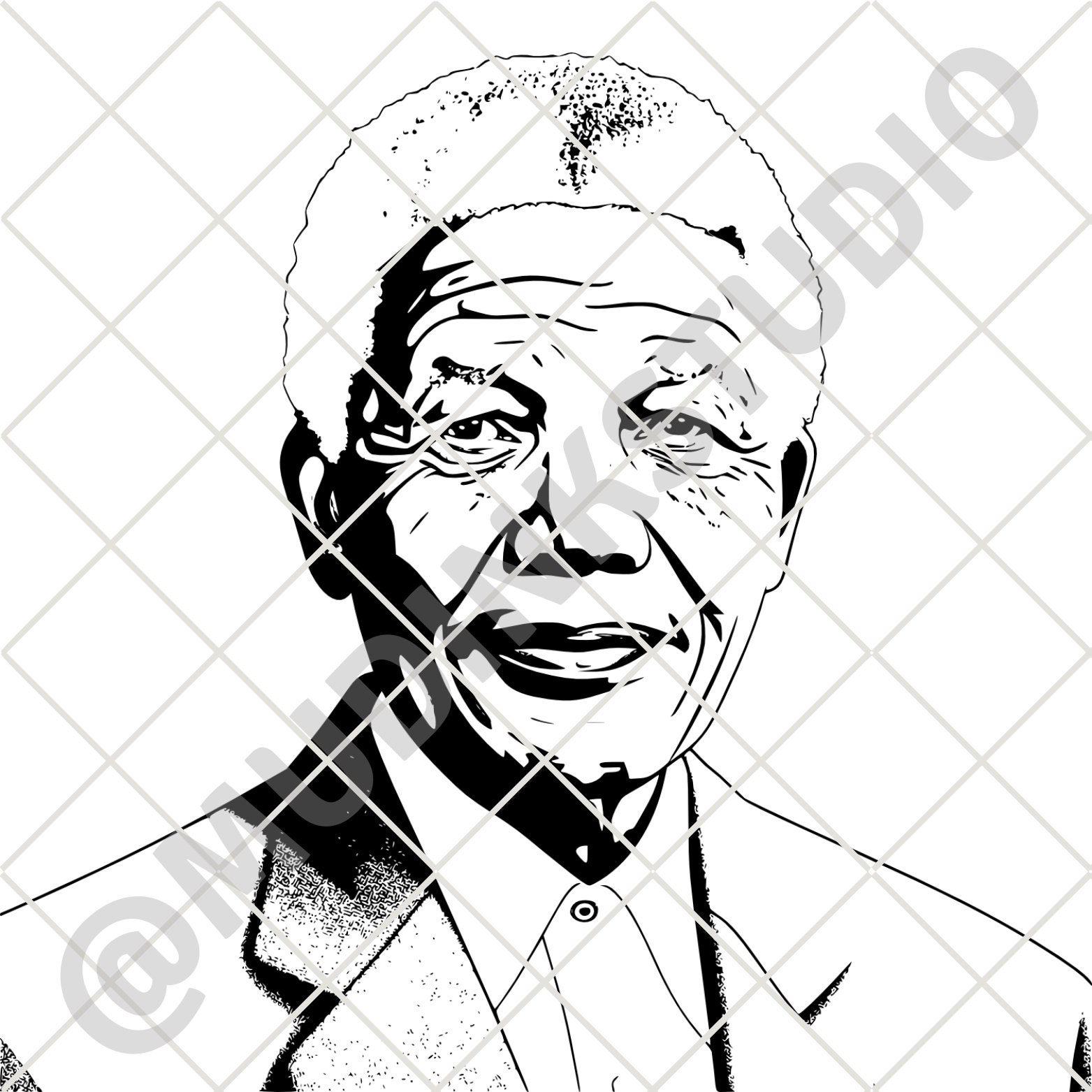 Nelson Mandela / Black History Month Historical Figures / Black History ...