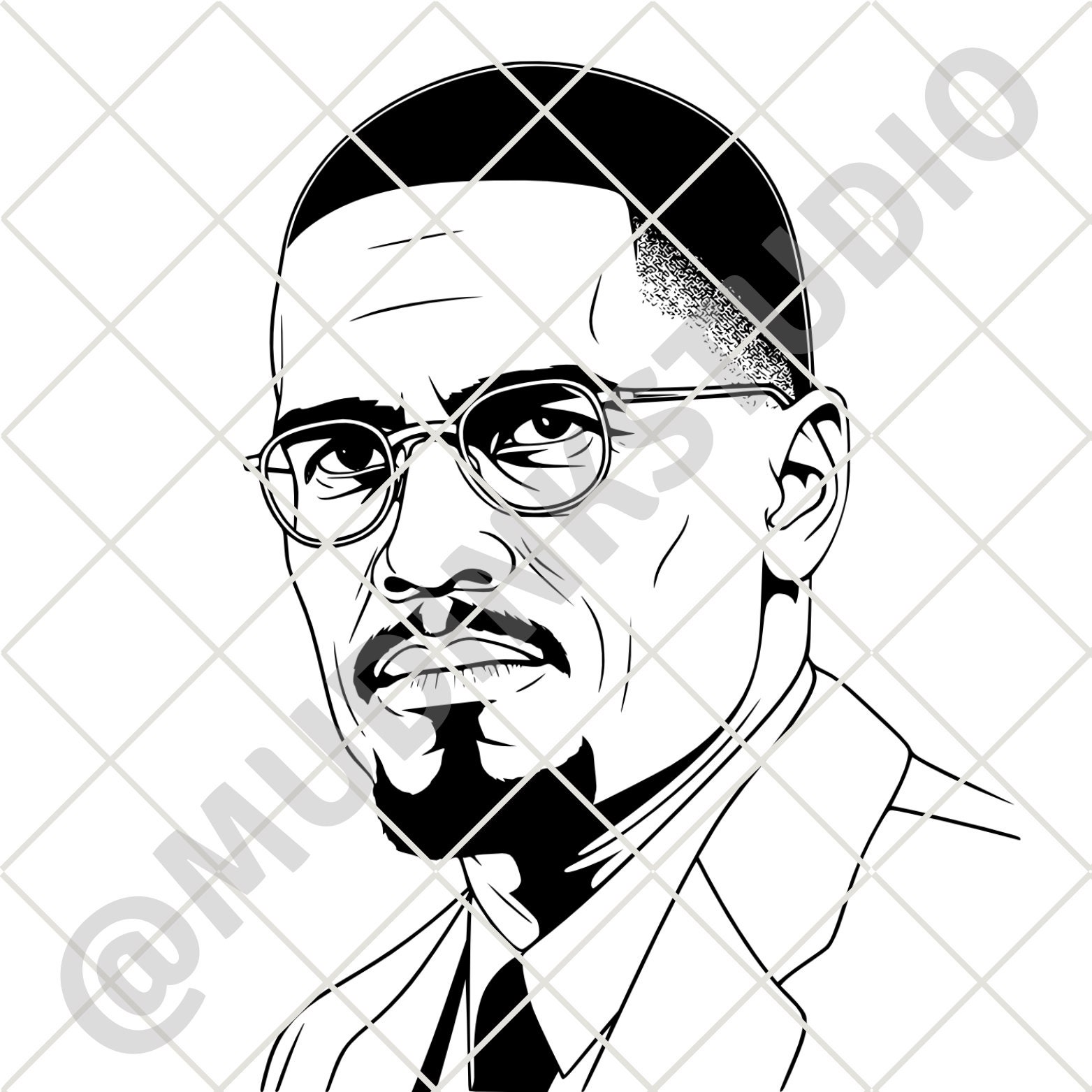Malcolm X / Black History Month Historical Figures / Black History ...