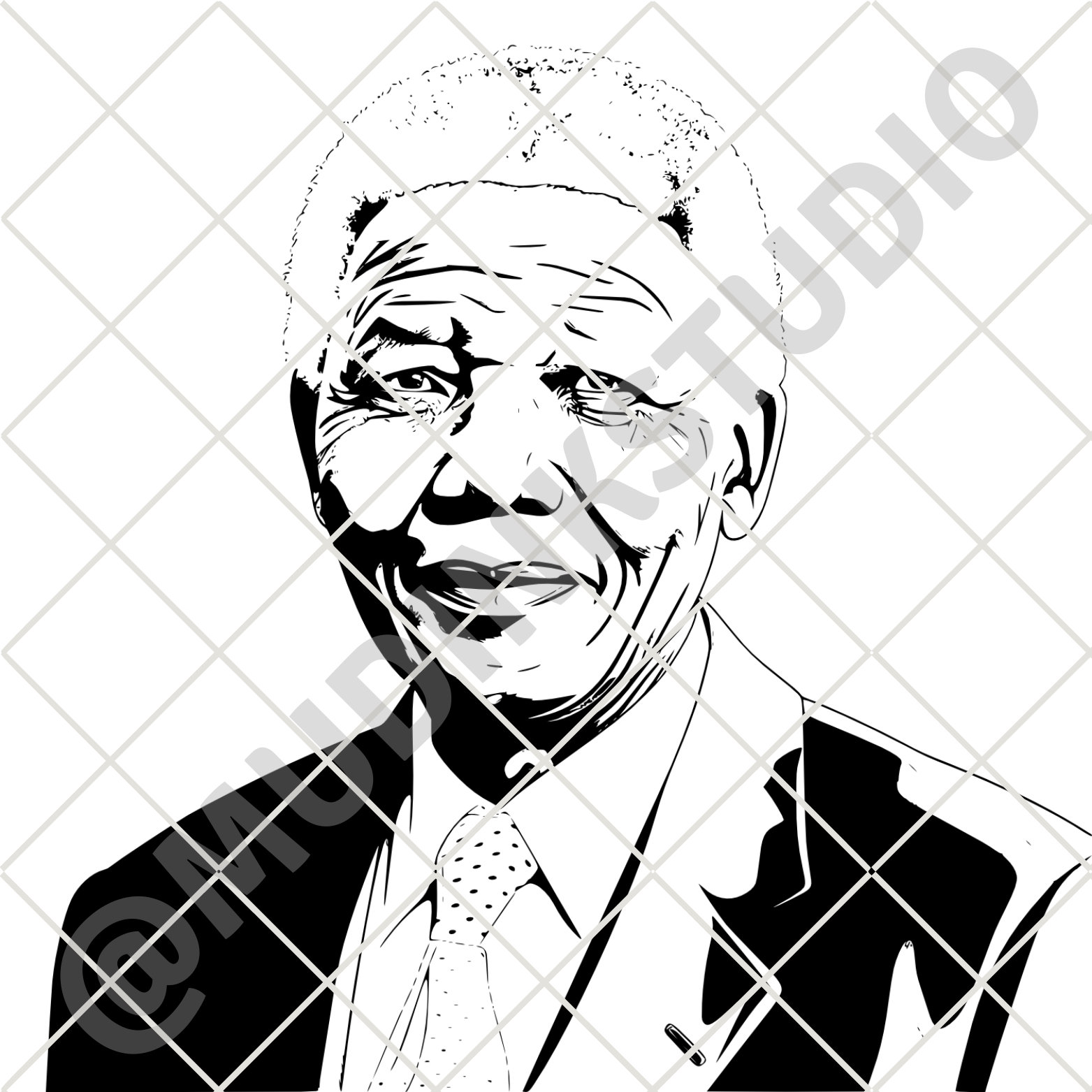 Nelson Mandela / Black History Month Historical Figures / Black History ...