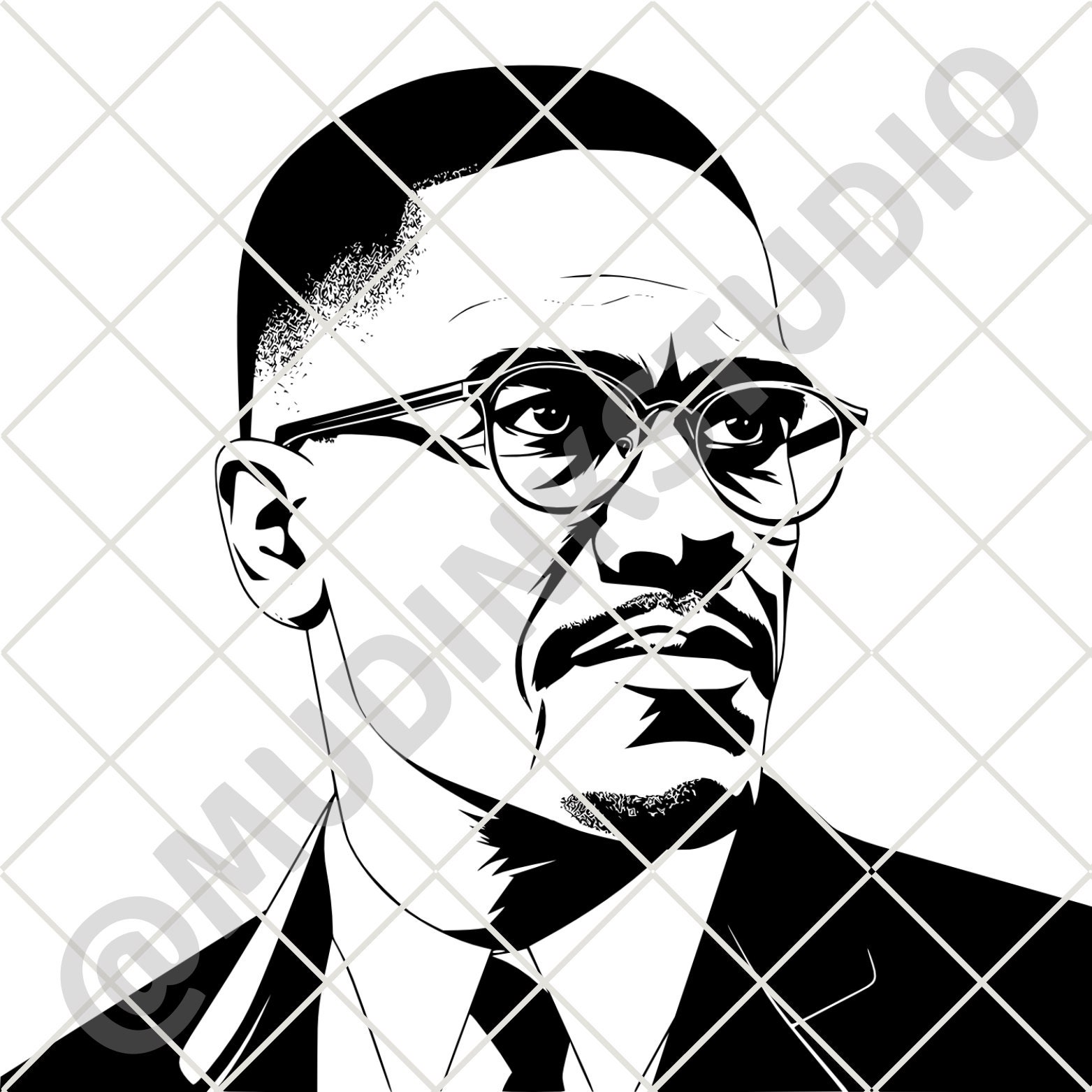 Malcolm X / Black History Month Historical Figures / Black History ...