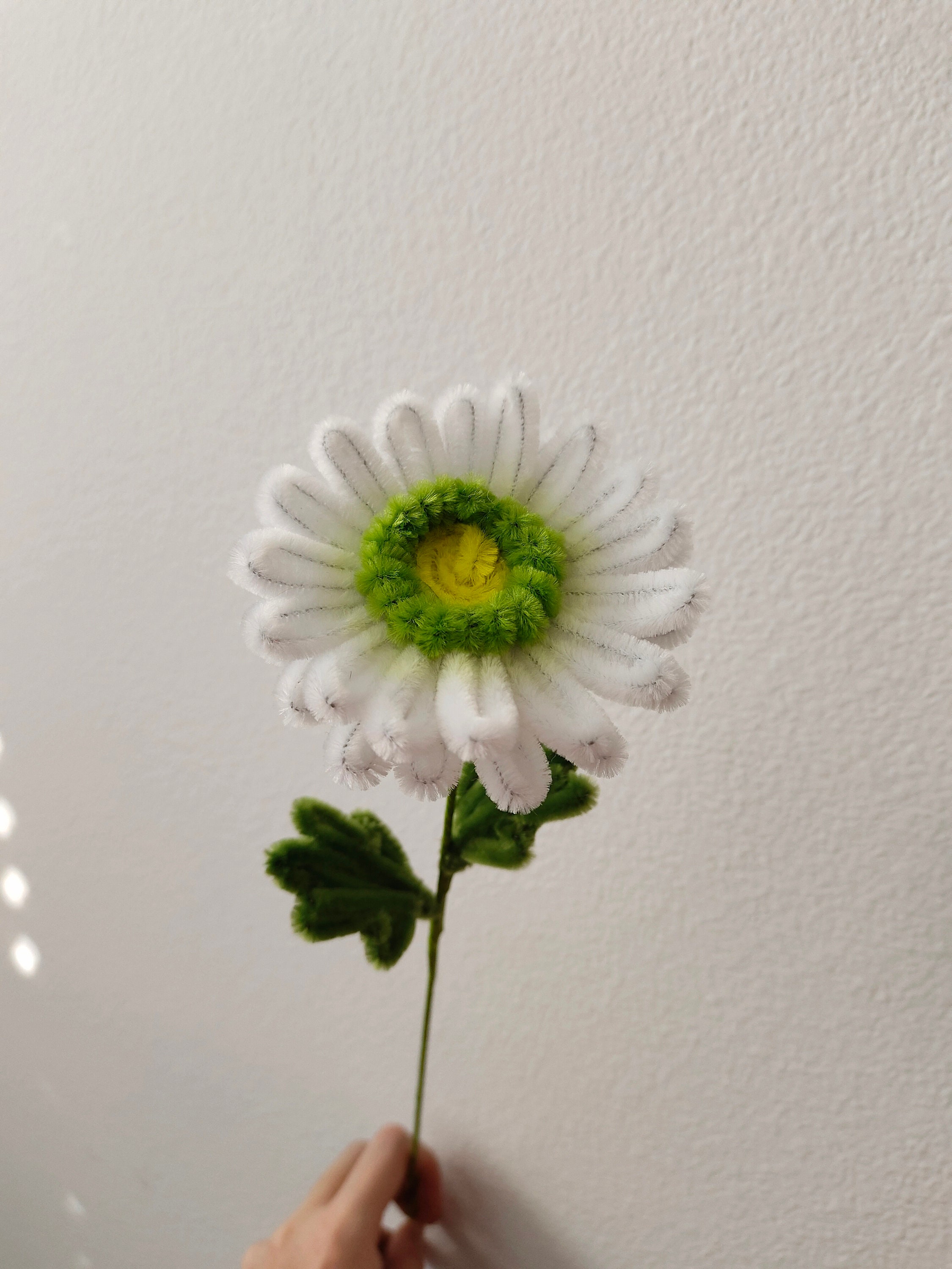 Barberton Daisy Pipe Cleaner Handmade Flowers ...