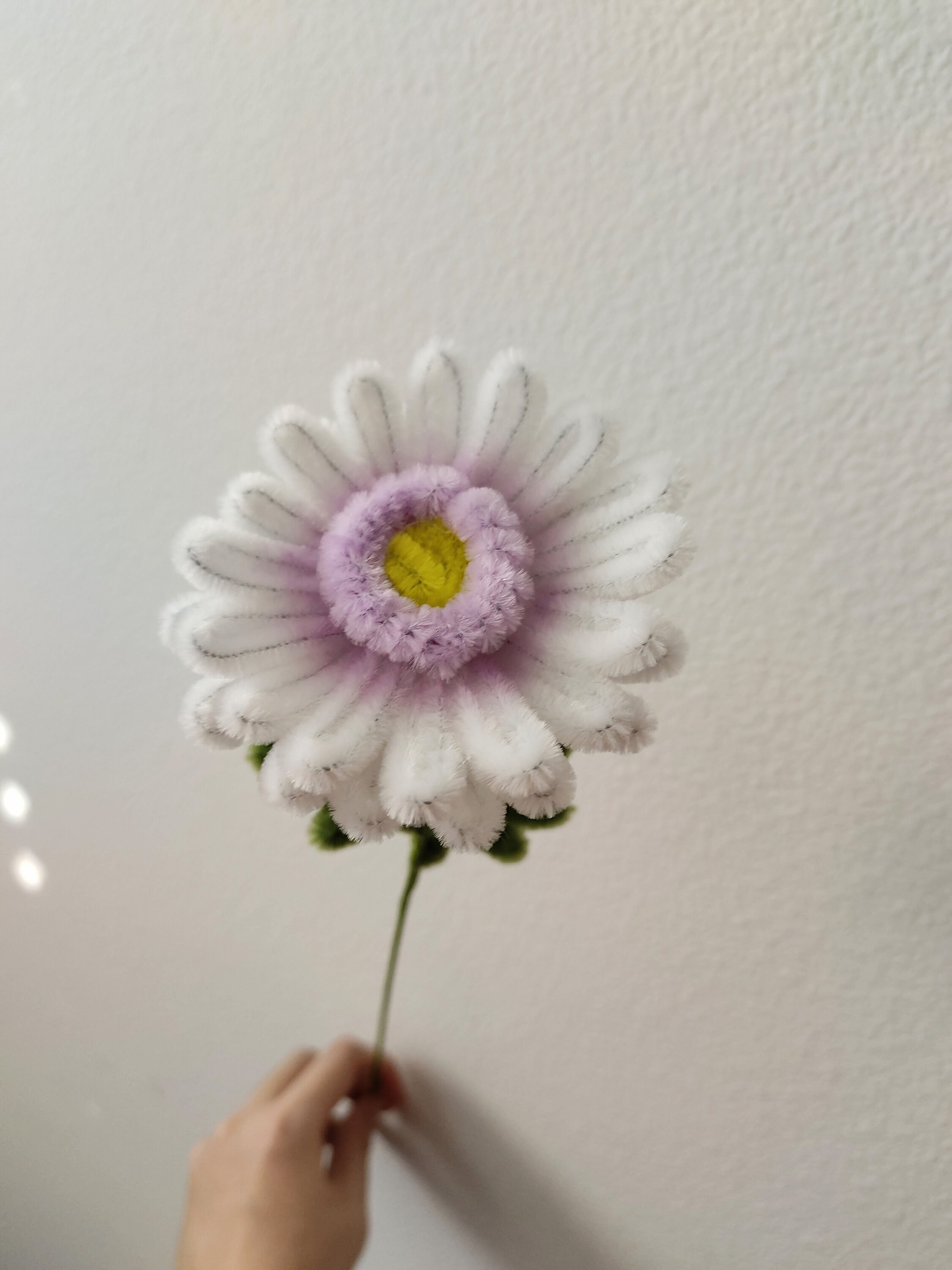 Barberton Daisy Pipe Cleaner Handmade Flowers ...