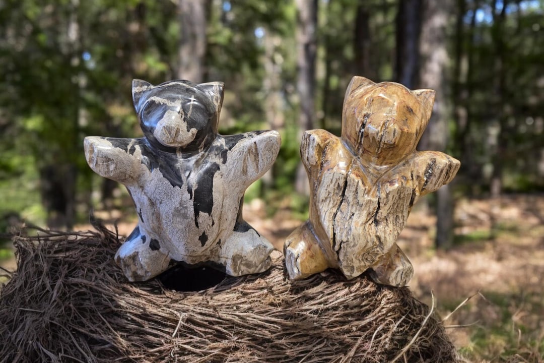 Hand-carved Bear Petrified Wood - Etsy