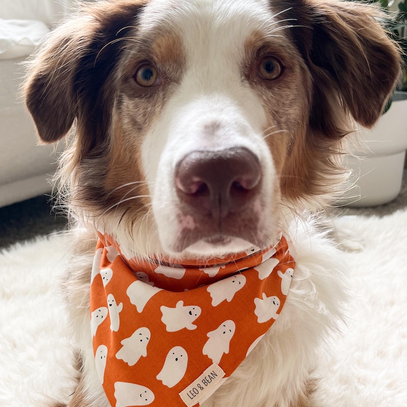 Pink Ghost Scarf - Etsy UK