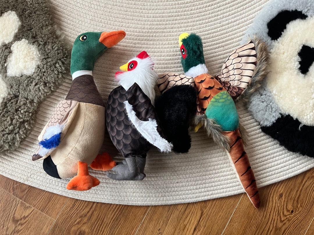 Squeaky Plush Bird Dog Toy - Durable Rooster, Duck, Pheasant - Etsy