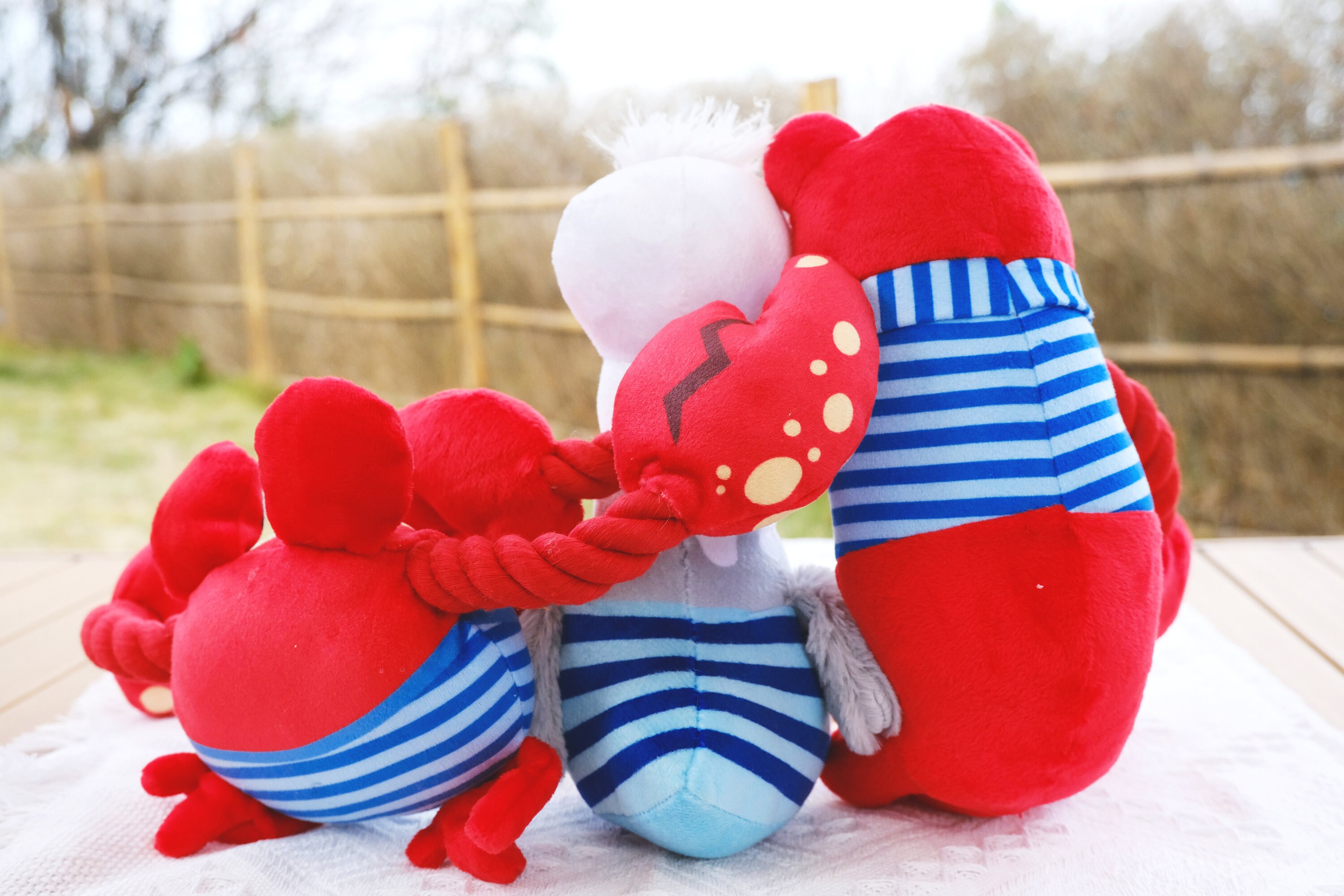 Squeaky Plush Dog Toy: Lobster, Crab, Seagull Rope Tug - Etsy
