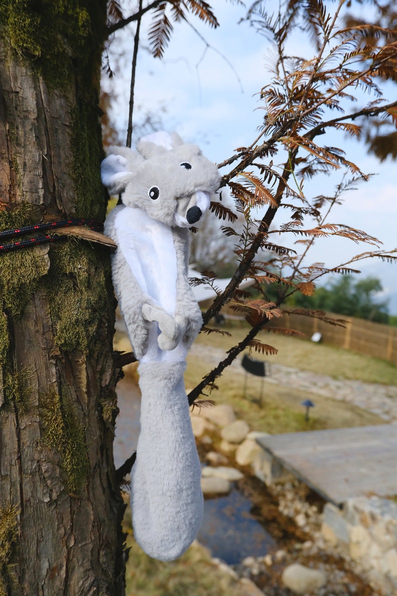 Crinkle Squeaky Dog Toy/crinkle Pet Toy/durable Dog Chew Toy/crinkle ...