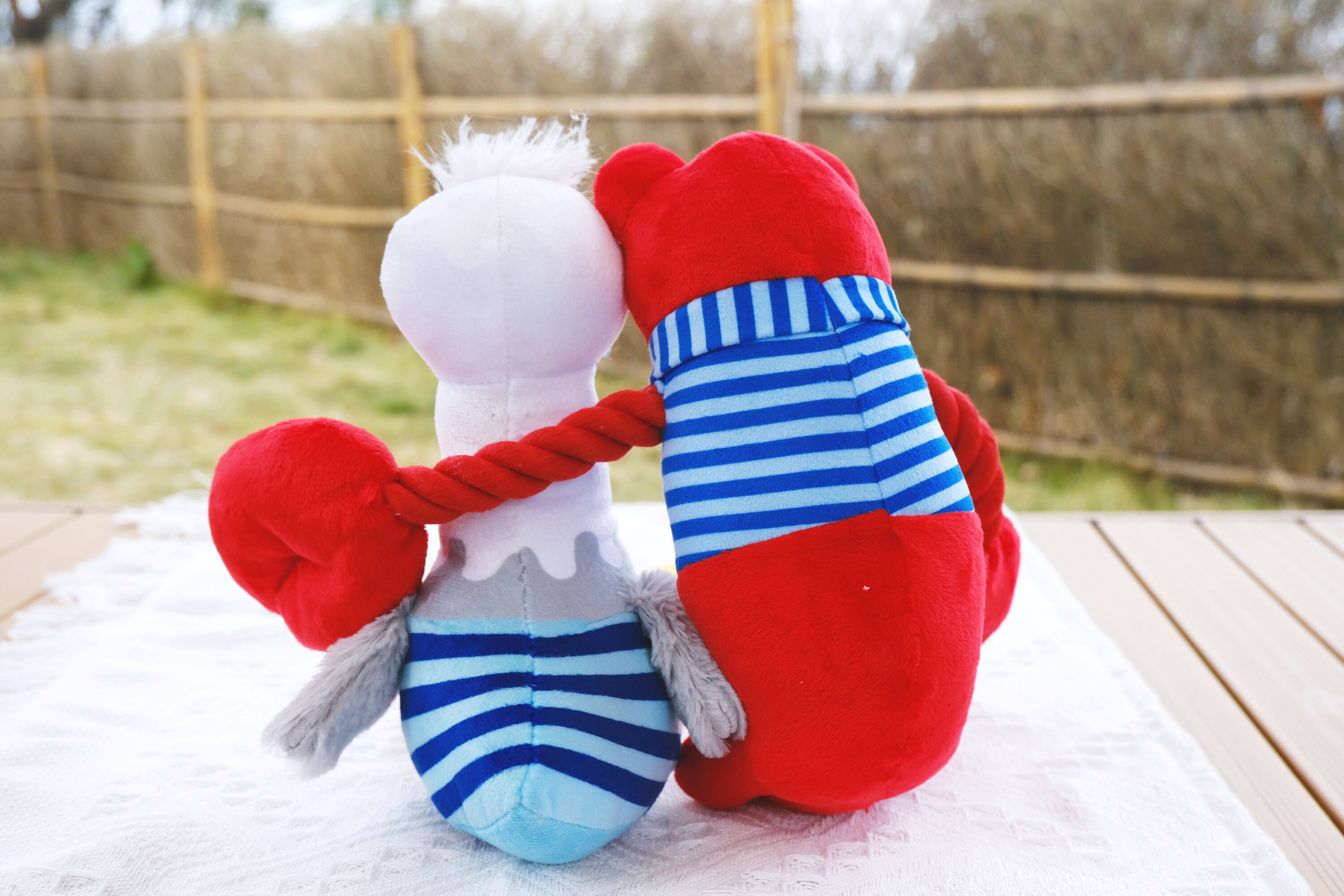 Squeaky Plush Dog Toy: Lobster, Crab, Seagull Rope Tug - Etsy