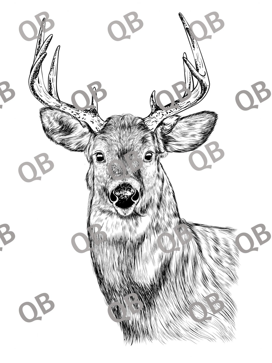 Deer SVG File, Buck Svg, Laser Engraving, Printing File, Hunting Svg ...