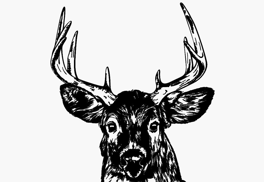 Deer SVG File, Buck Svg, Laser Engraving, Printing File, Hunting Svg ...